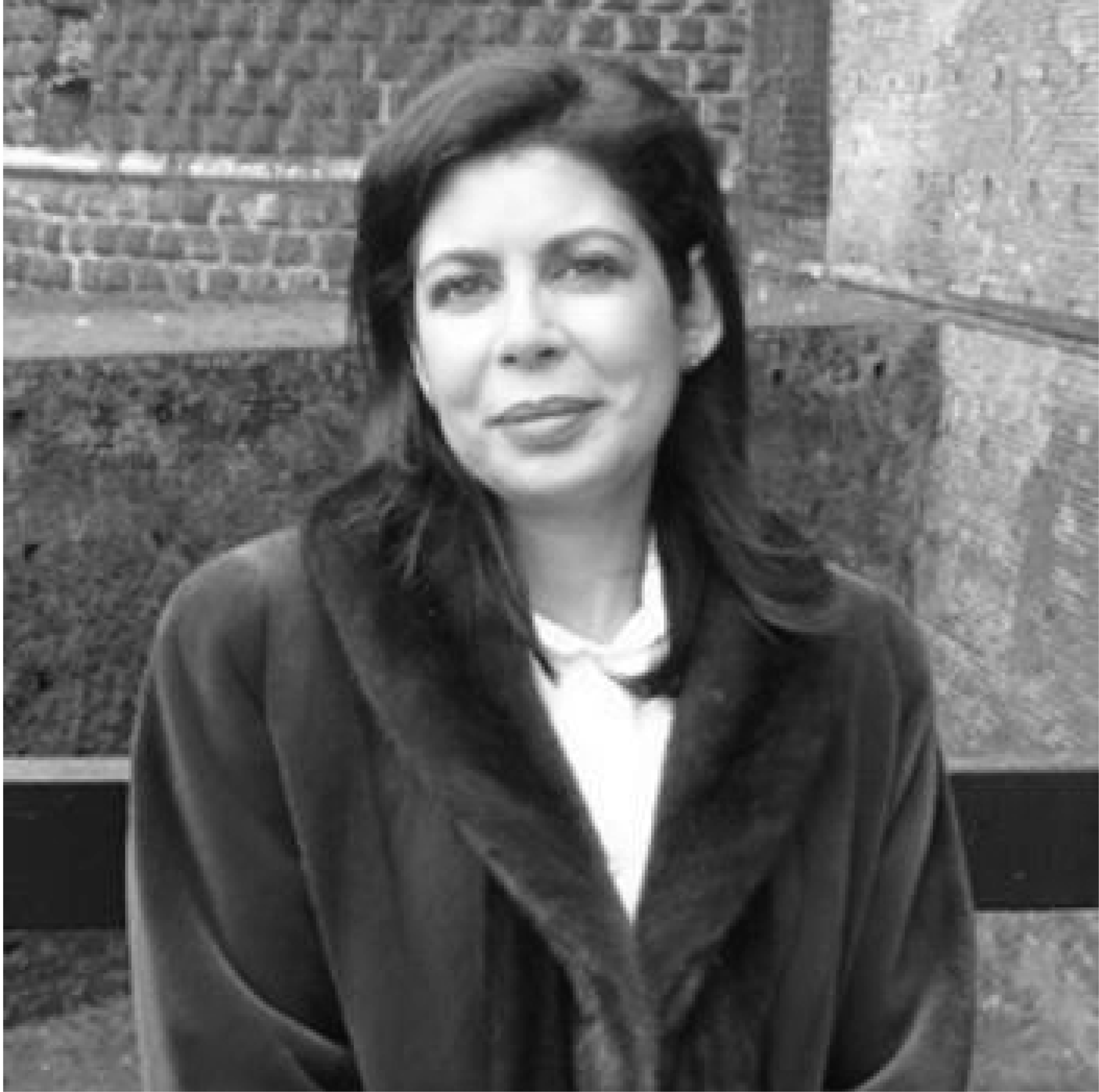 Isabel Drumond Braga - Tribuna da História